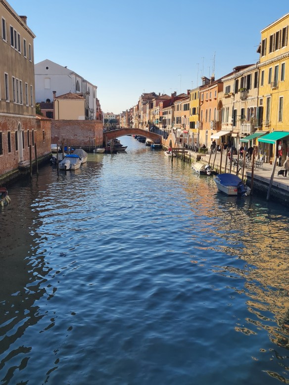 Prosecco Cat | JUNO's VIEW